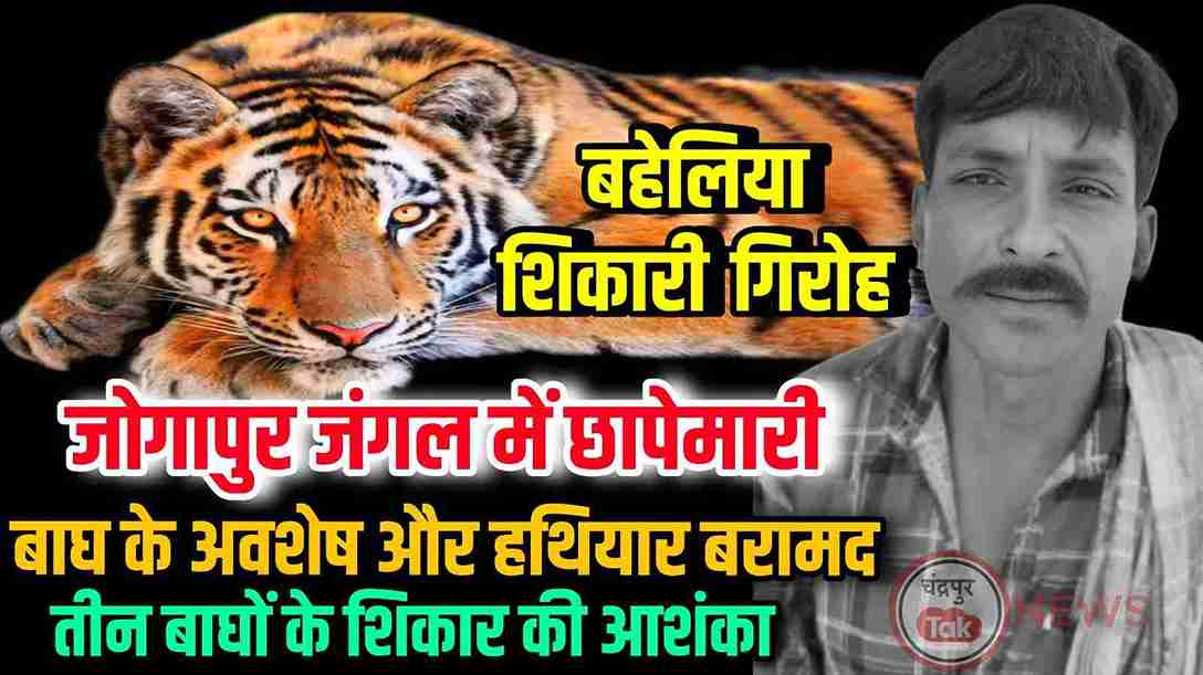 Baheliya Tiger's Poacher Gang | बहेलिया शिकारी गिरोह के शिकार मामले में बड़ा खुलासा, जोगापुर ...